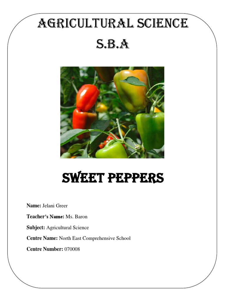 AGRI SBA | Capsicum | Weed