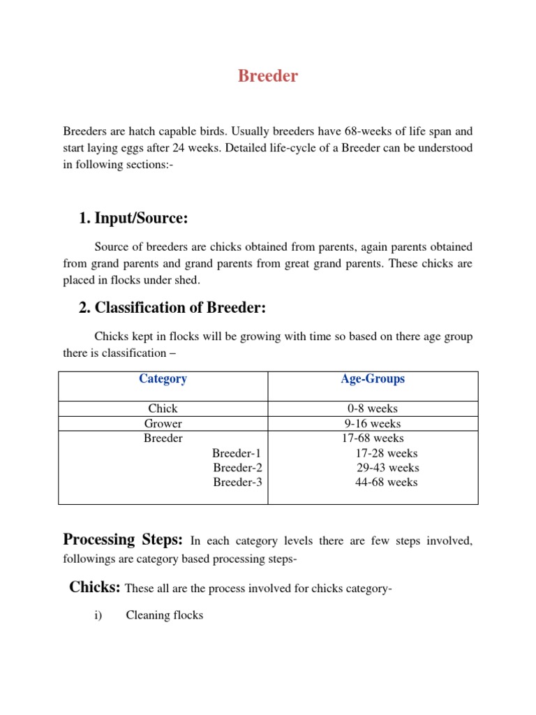 Breeder Detailed | PDF | Egg | Birds