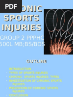 CORE Back Tool | PDF | Low Back Pain | Back Pain