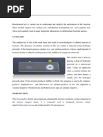 Solicitation Letter for Raffle Draw | Violence