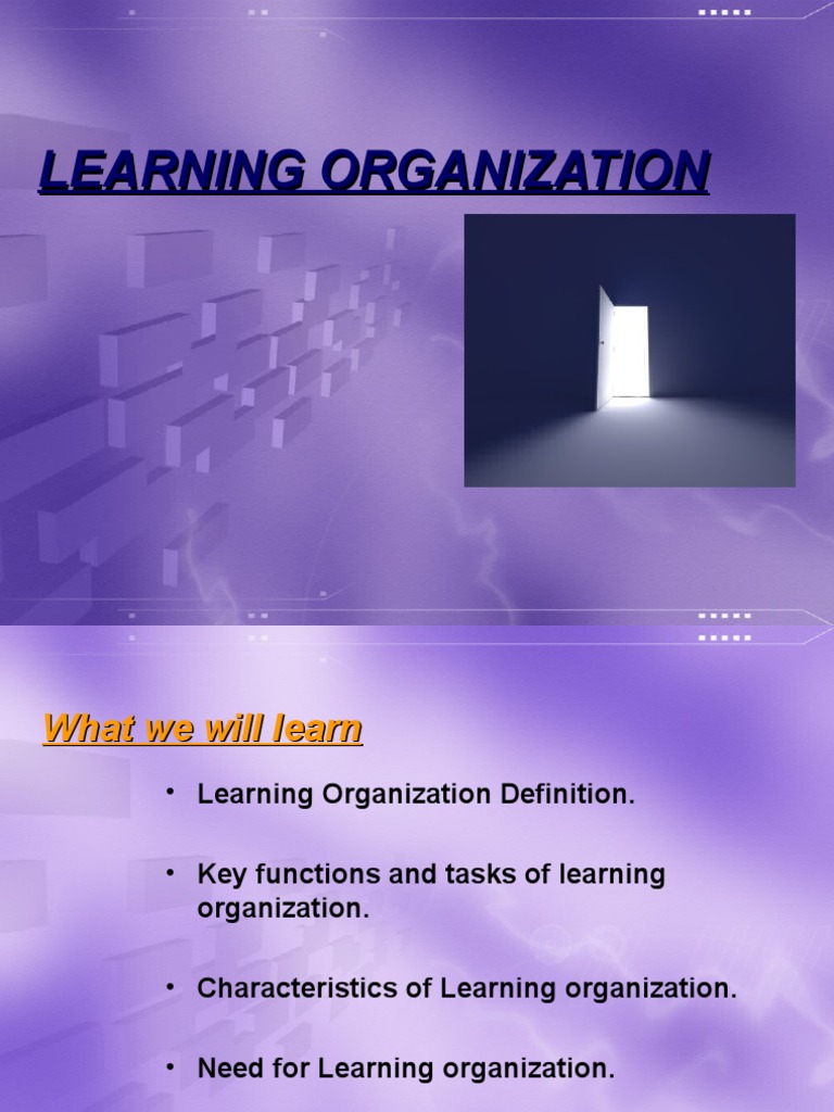Learning Organization | PDF | System | Learning