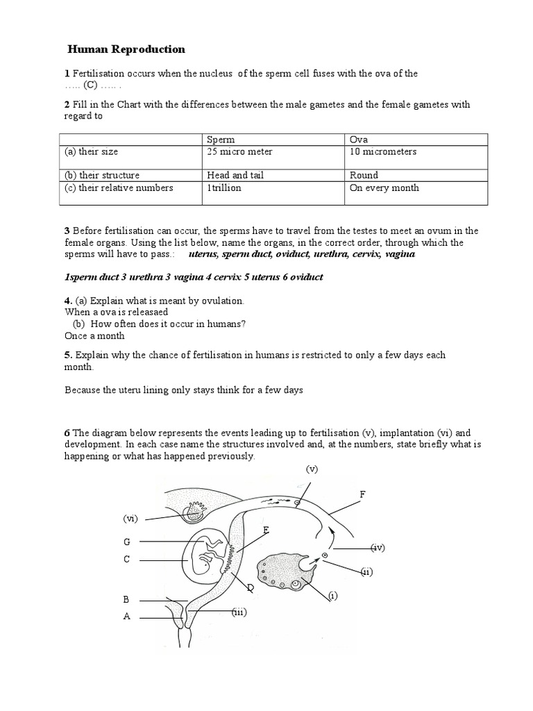 Human Reproduction Questions | Human Reproduction | Ageing