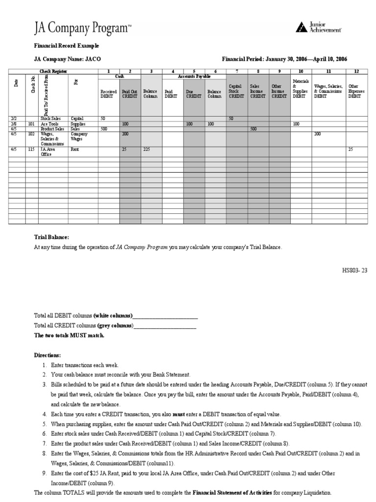 Financial Record Example-NEW | PDF | Finance & Money Management | Computers