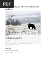 Amplifying Pattern Design | PDF