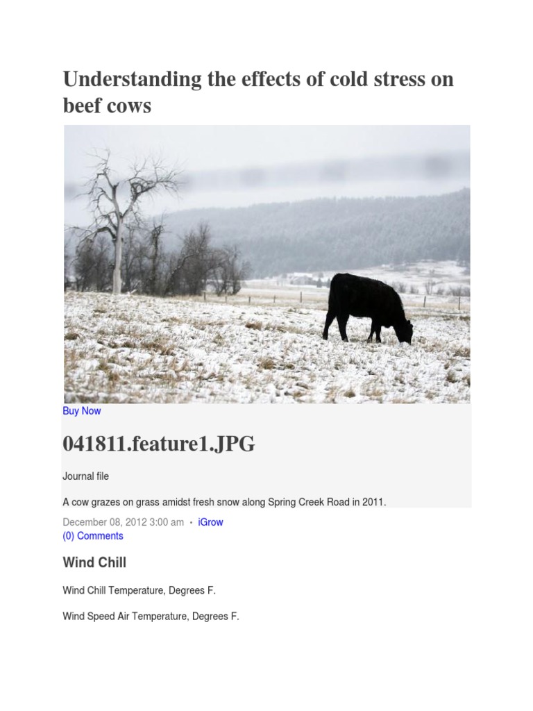 Understanding The Effects of Cold Stress On Beef Cows: Wind Chill | PDF ...