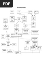 Patofisiologi Katarak | PDF