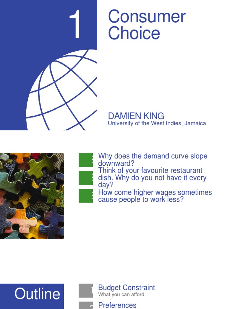 Understanding Consumer Choice: An Analysis of Budget Constraints ...