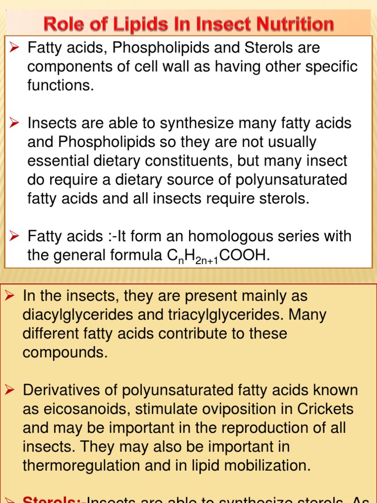 Essential Lipids in Insect Nutrition | PDF