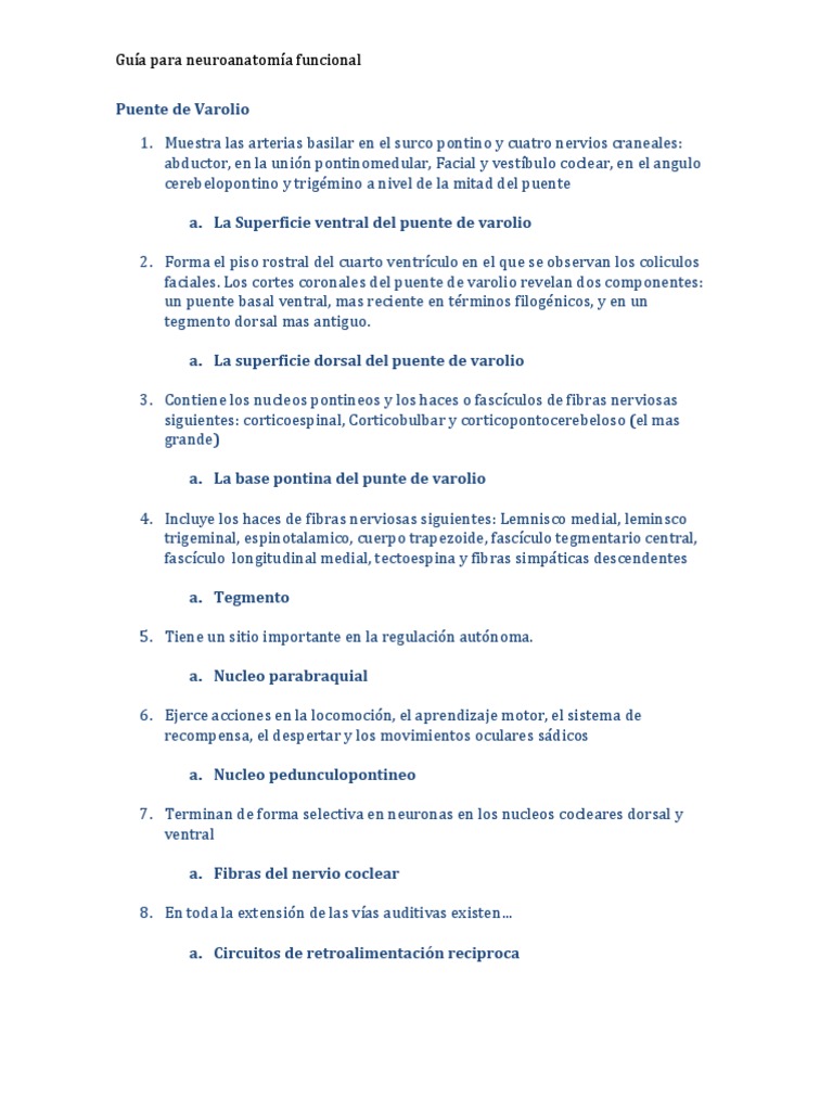 Puente de Varolio | PDF | Cerebelo | Cabeza y cuello humanos