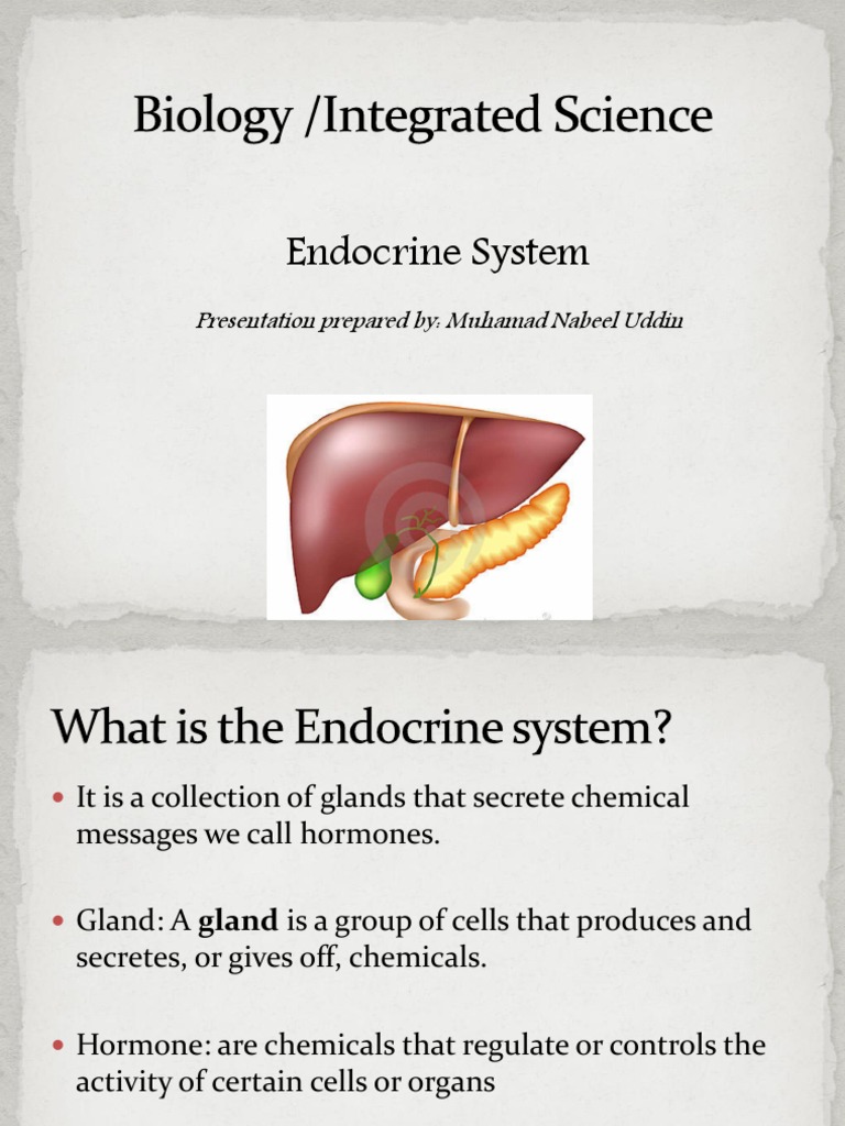 Endocrine System (CSEC Integrated Science) | PDF