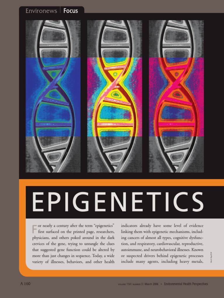 Epigenetic s | Epigenetics | Dna Methylation | Free 30-day Trial | Scribd