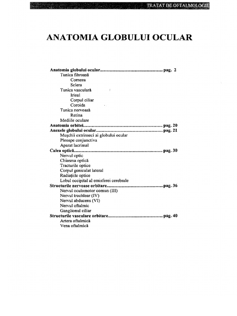 Anatomia Ochiului | PDF