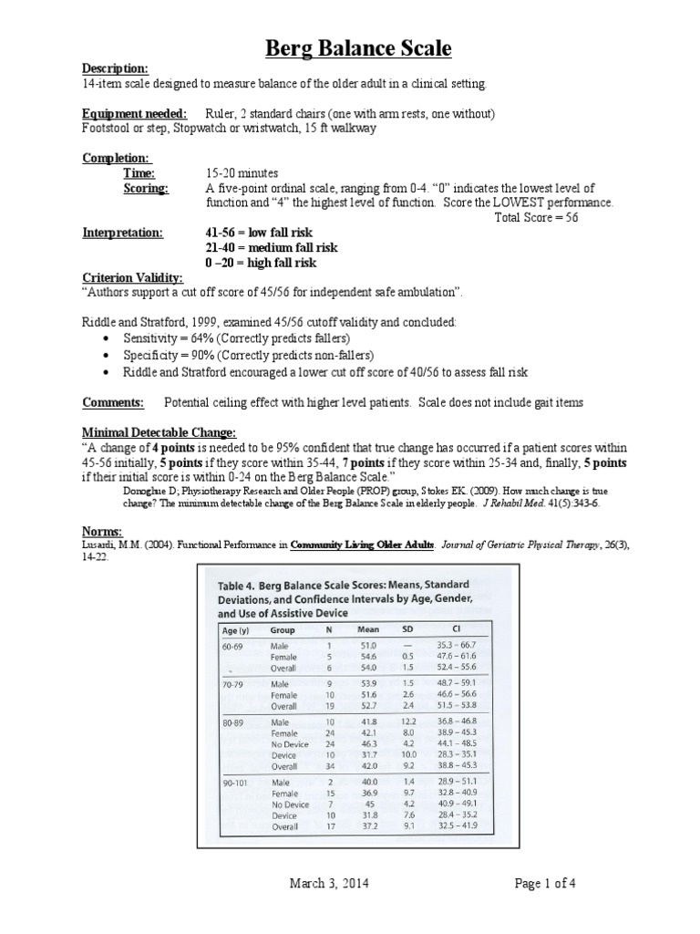 Berg Balance Scale Assessment Guide | PDF