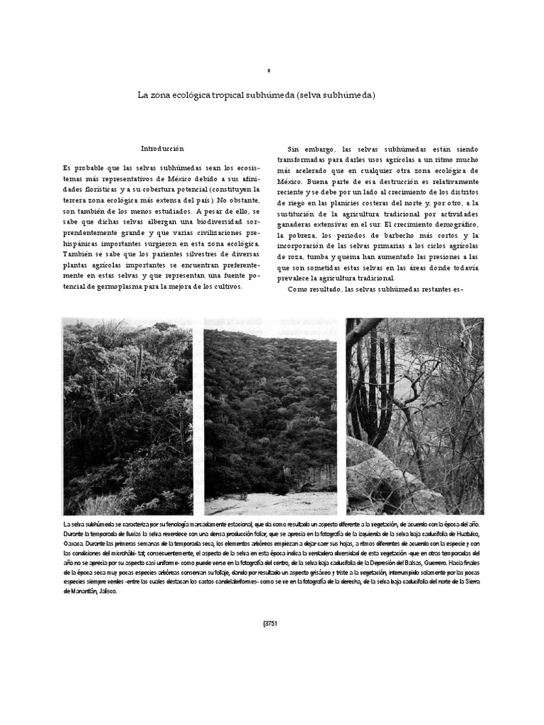 La Zona Ecológica Tropical Subhúmeda (Selva Subhúmeda) | PDF | Hogar y ...