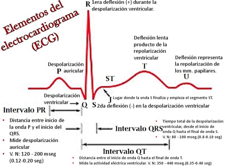 Elementos del Electrocardiograma (ECG) | PDF | Métodos y materiales de ...