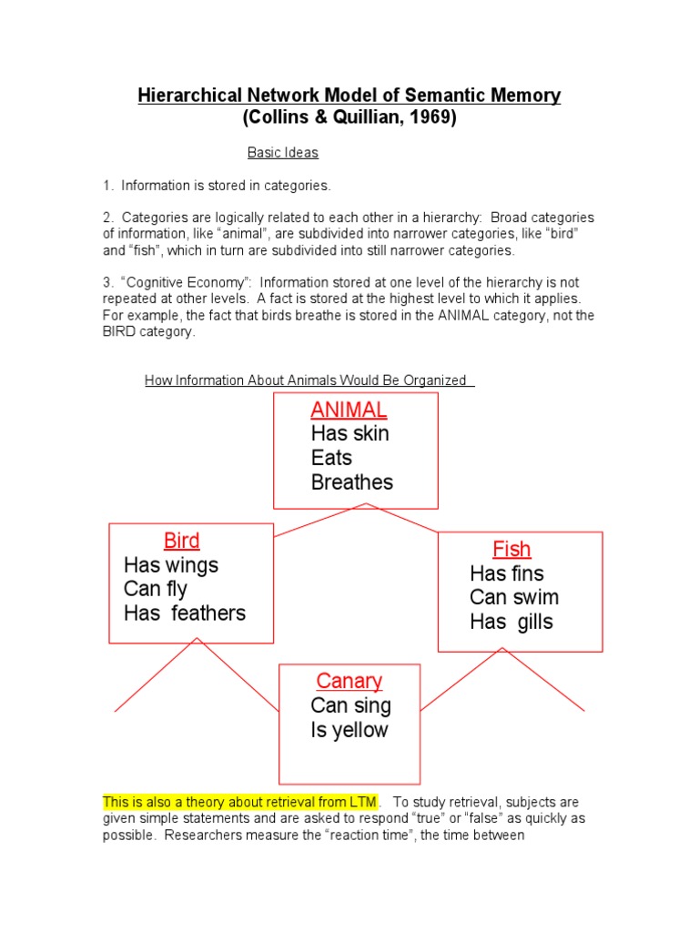 Semantic Network Model Of Memory