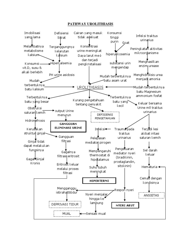 Pathway Urolithiasis
