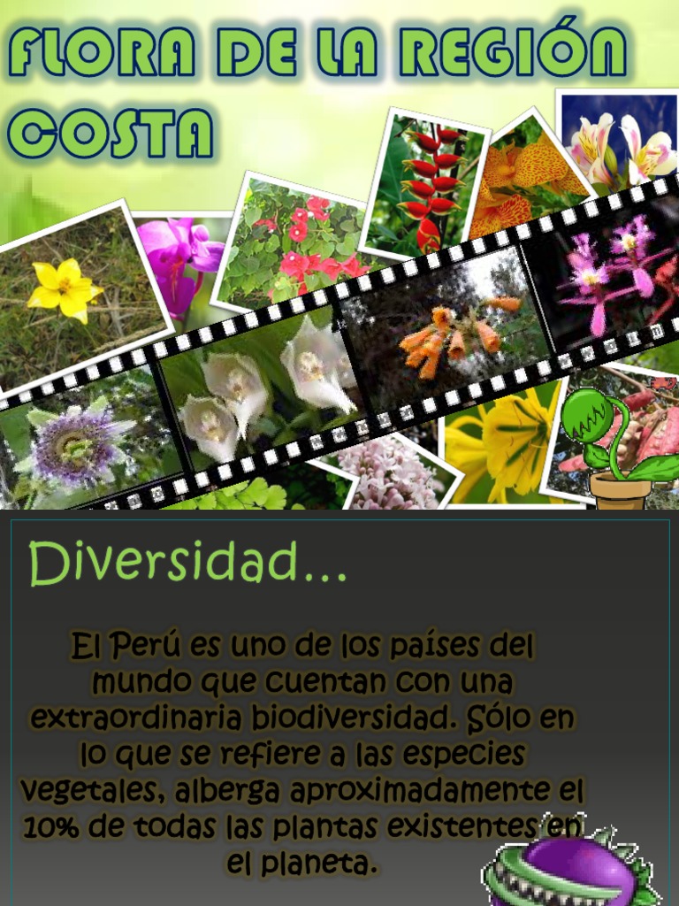 Flora de La Región Costa | PDF | Plantas | Botánica