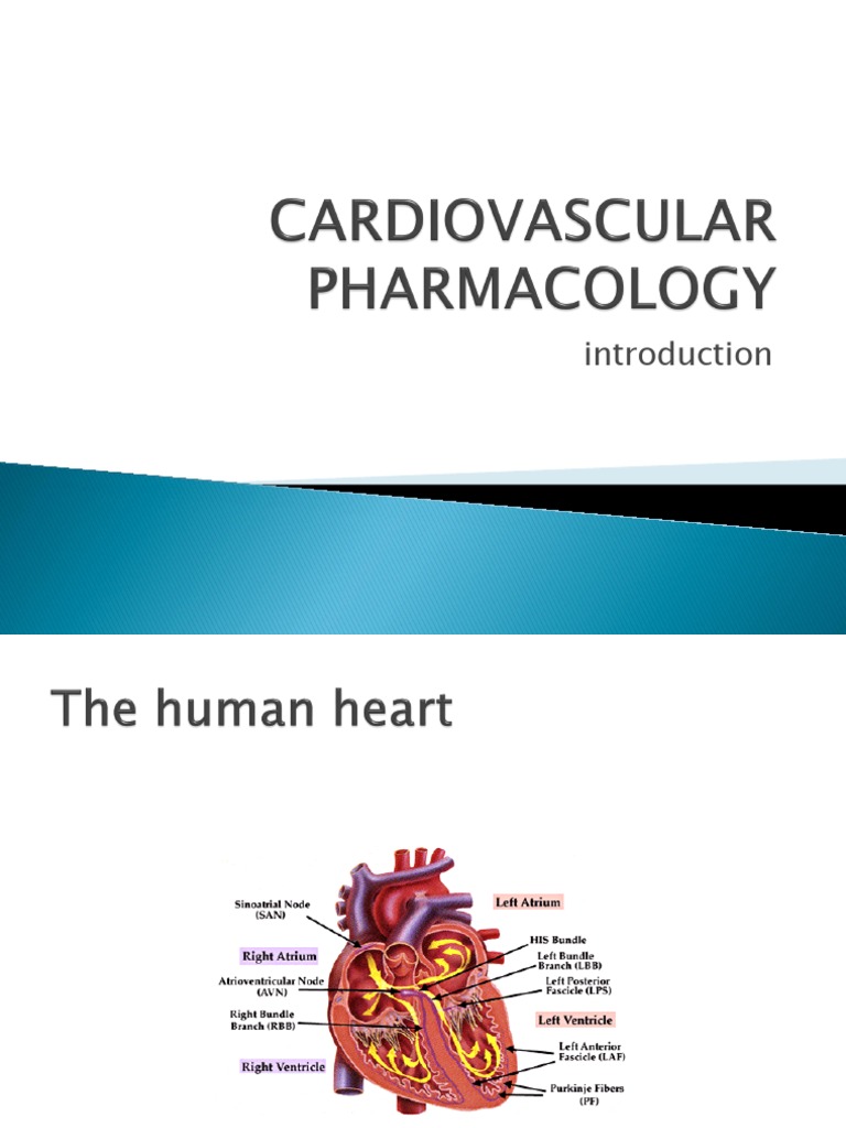 Cardiovascular Pharmacology Overview | PDF | Drugs | Pharmacology