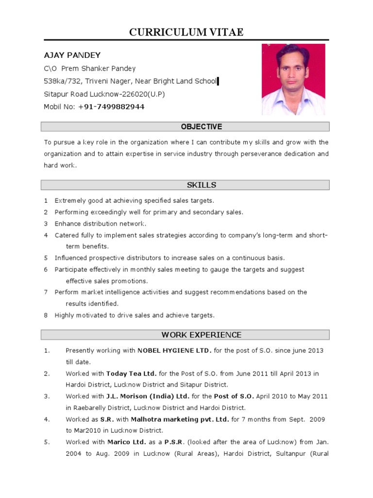 CV Ajay New | PDF | Recruitment | Industrial And Organizational Psychology