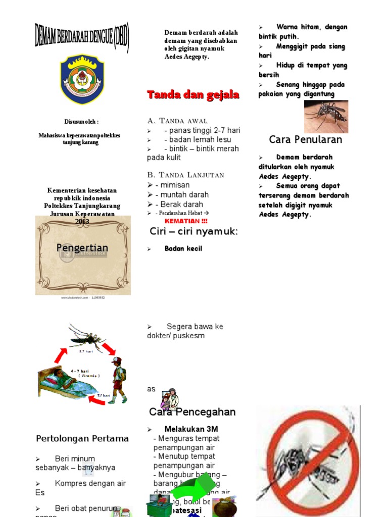 Leaflet DBD | PDF