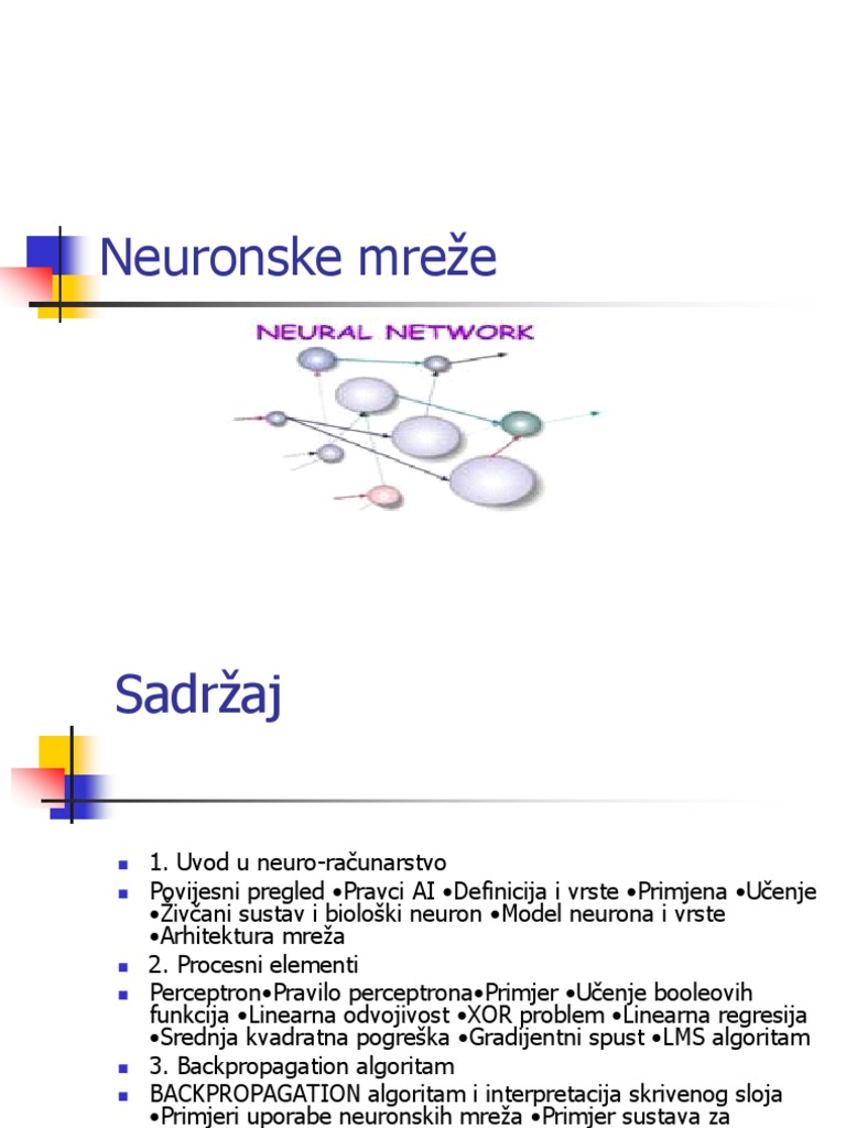10.neuronske Mreže | PDF