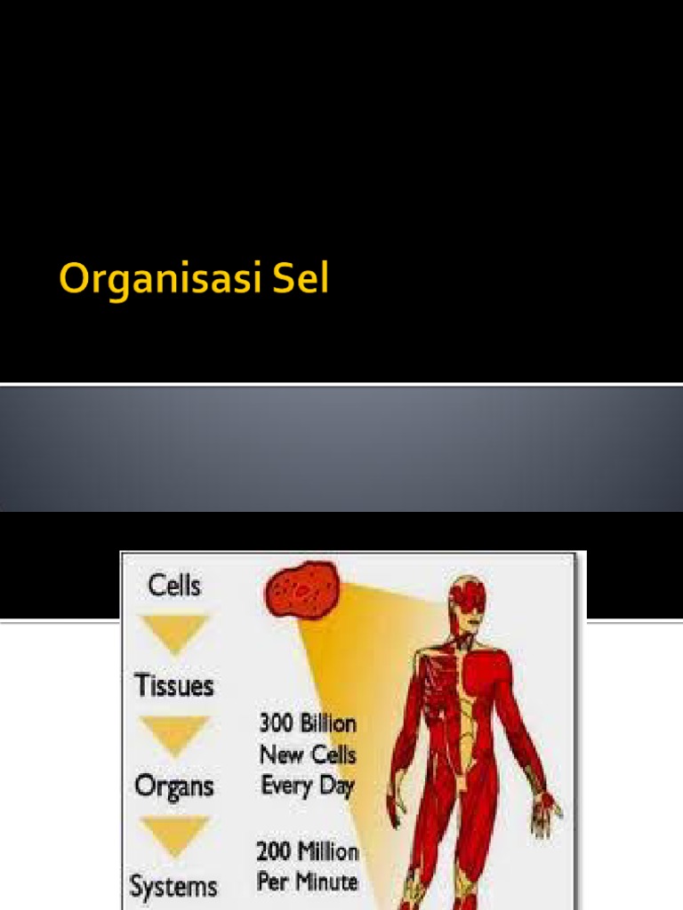 Pergerakan Sel | PDF