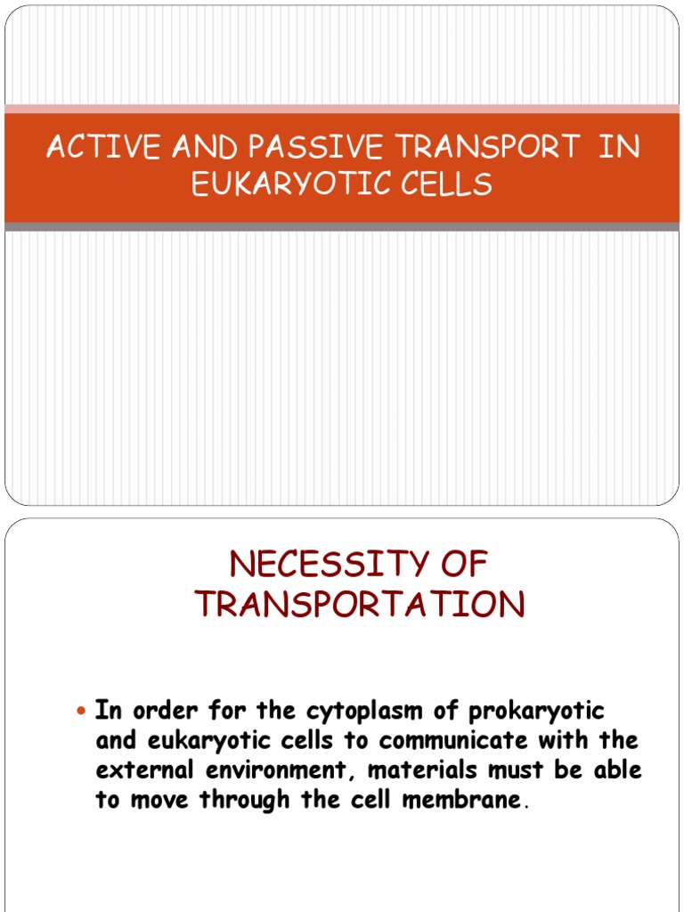 Active and Passive Transport | Cell Membrane | Cell (Biology)