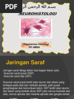 Sinaps: Jenis, Fungsi, dan Mekanisme | PDF