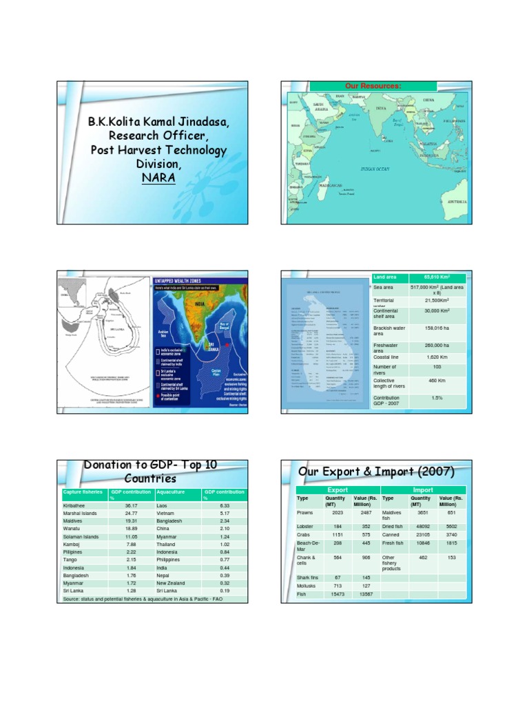 Vidatha | PDF | Ice | Tuna
