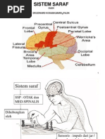 Trauma Capitis | PDF