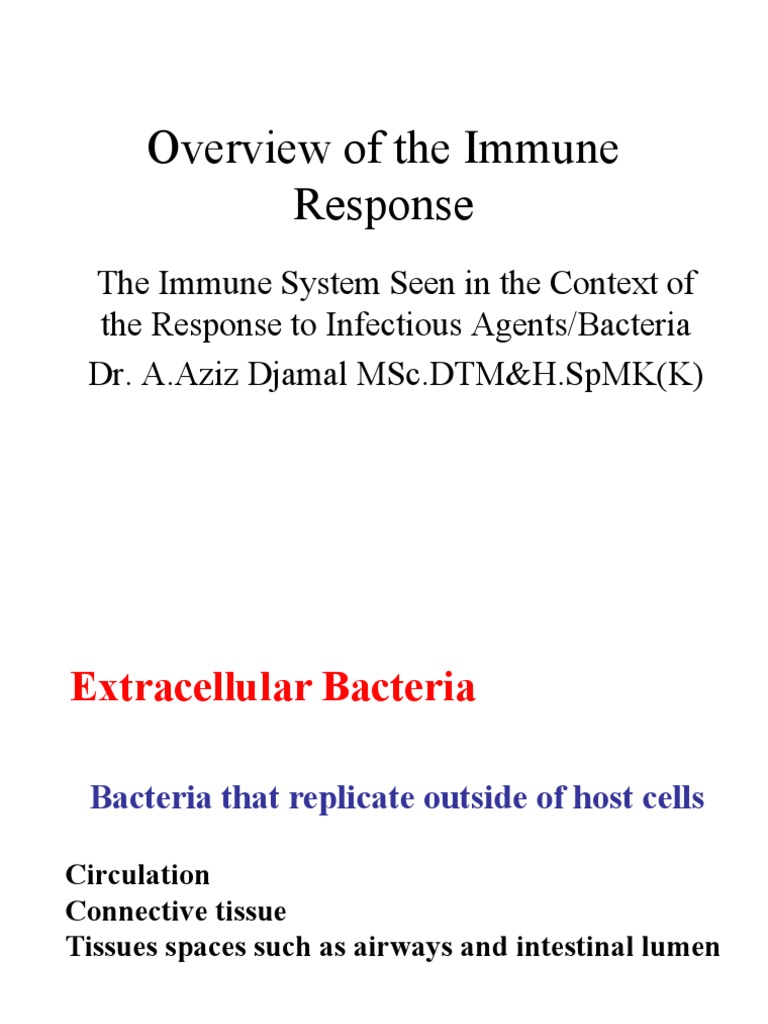 Immune Response to Bacterial Infections | PDF | T Helper Cell | Immune ...