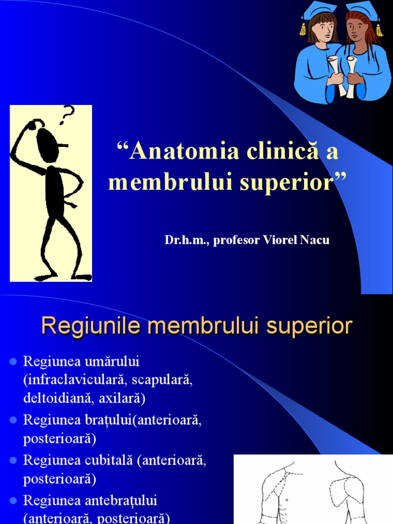 Membrul Superior Umar-Antebrat | PDF