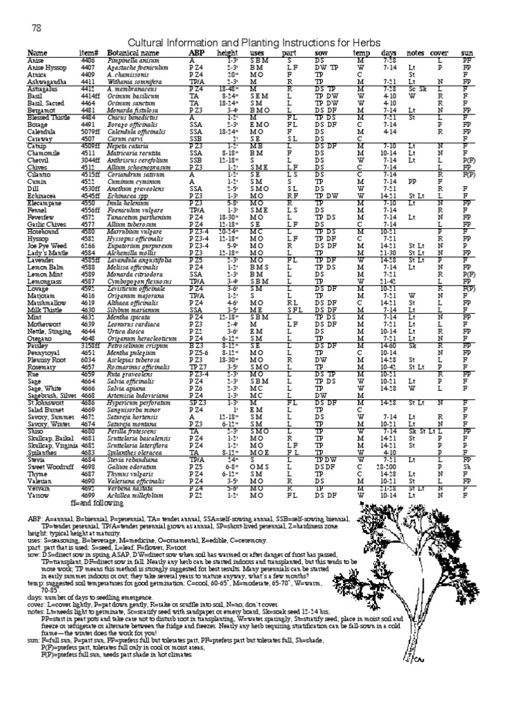Herb Planting and Care Guide | PDF