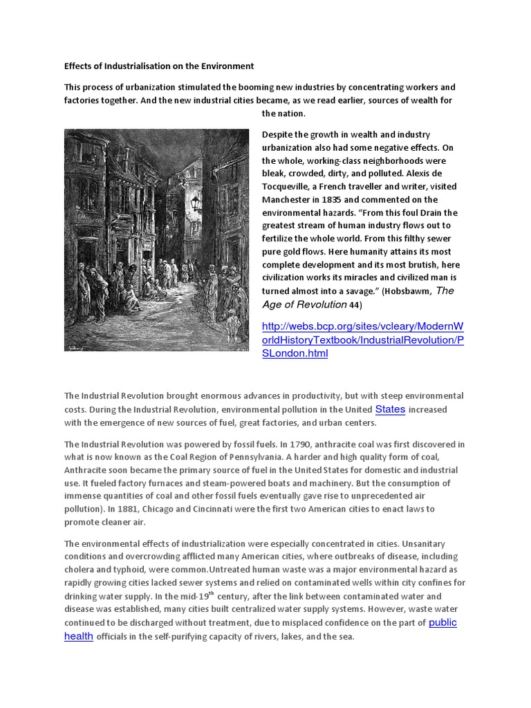 Effects of Industrialisation On The Environment | PDF | Industrial ...