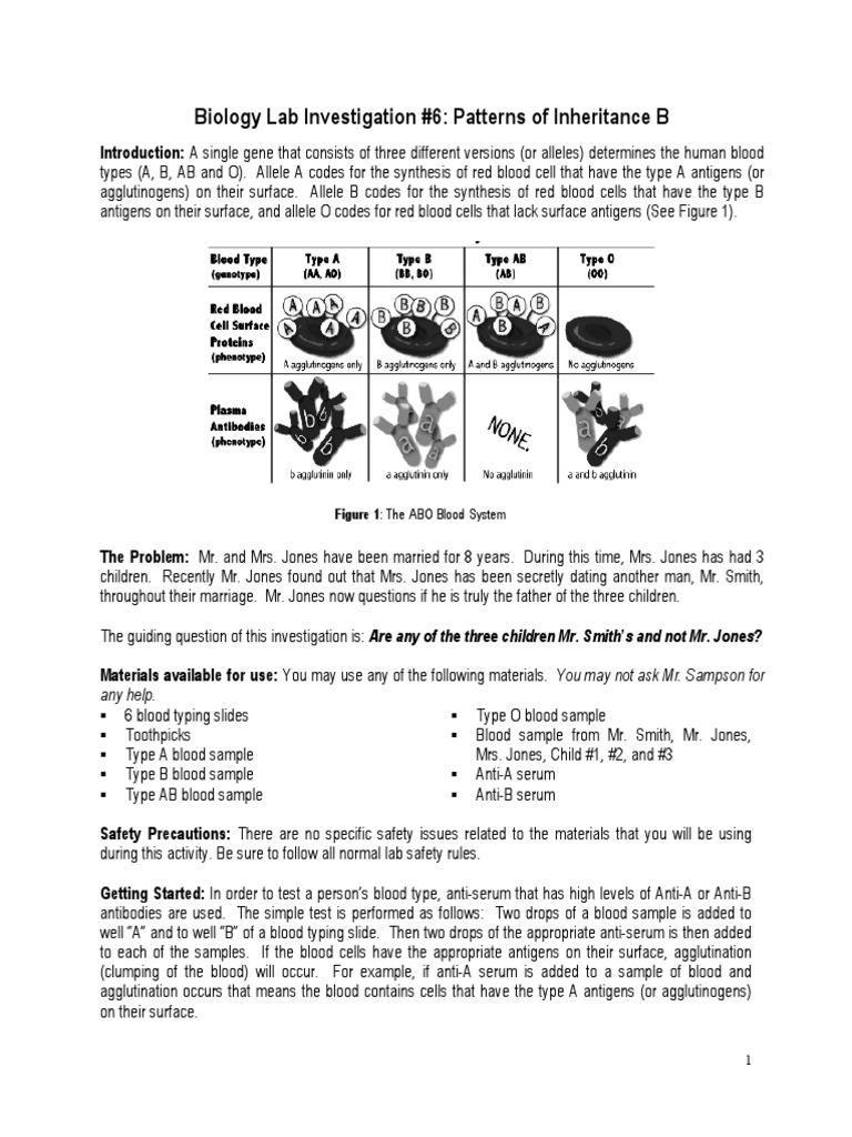 Blood Types - An Argument Driven Inquiry Lab Activity | PDF | Blood Type | Epistemology