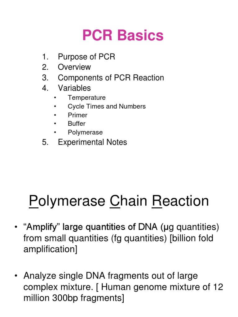 PCR Basics - Power Point | PDF