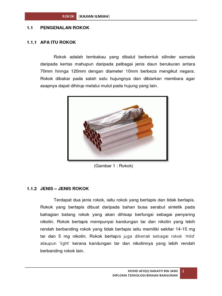 Pengenalan Rokok | PDF