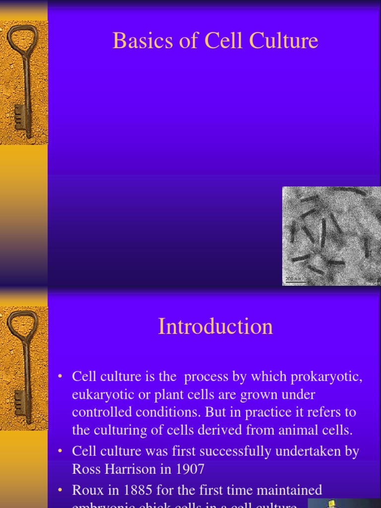 An Overview of the History and Applications of Cell Culture: From Early ...