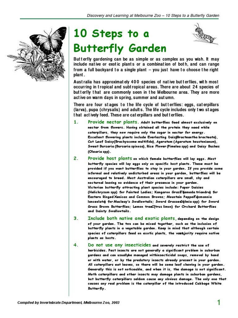 10 Steps Butterfly Gardening Zoo Highlights 1 | PDF | Home & Garden ...