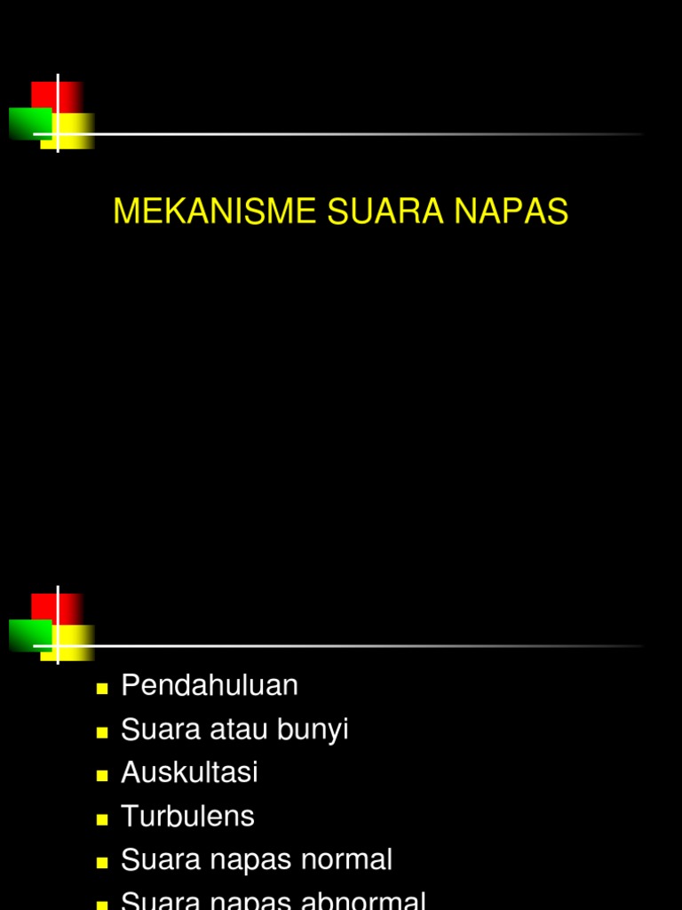 Panduan Lengkap Suara Napas | PDF