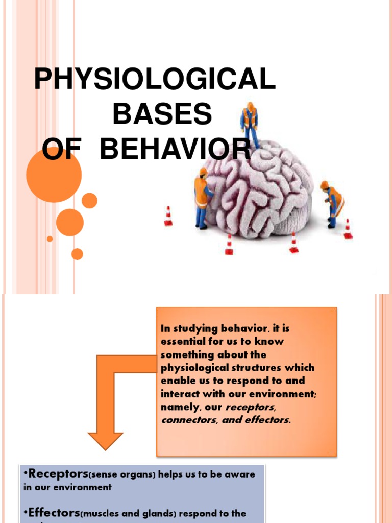 Physiological Behavior | PDF | Neuron | Cerebrum