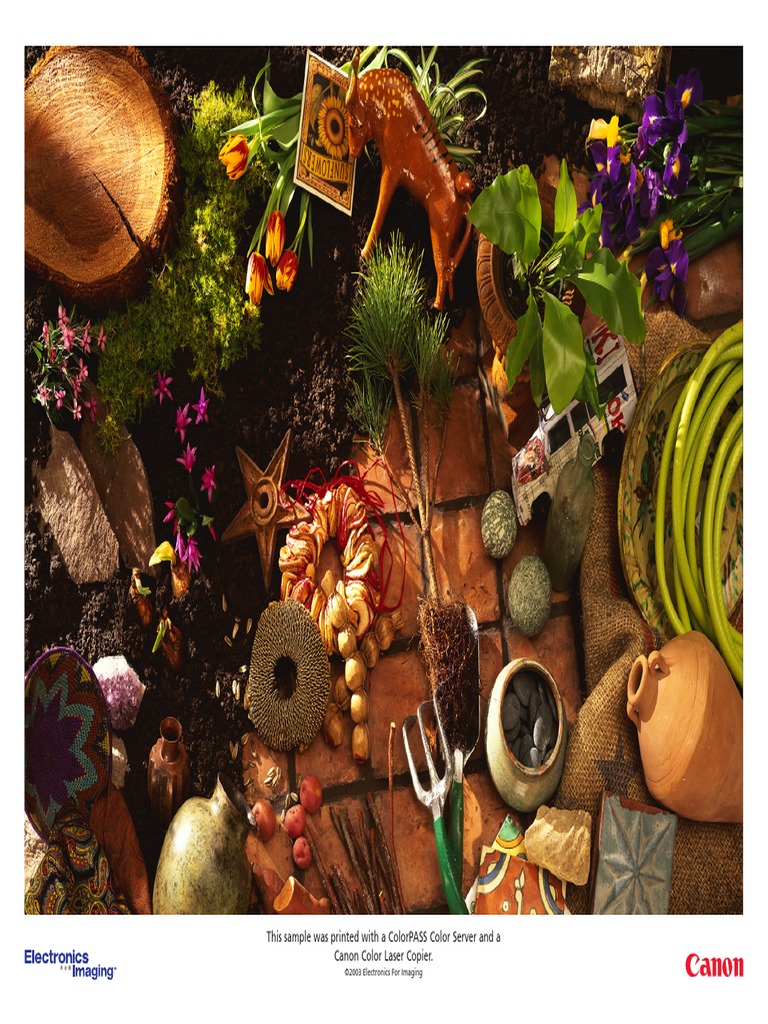 This Sample Was Printed With A Colorpass Color Server and A Canon Color ...