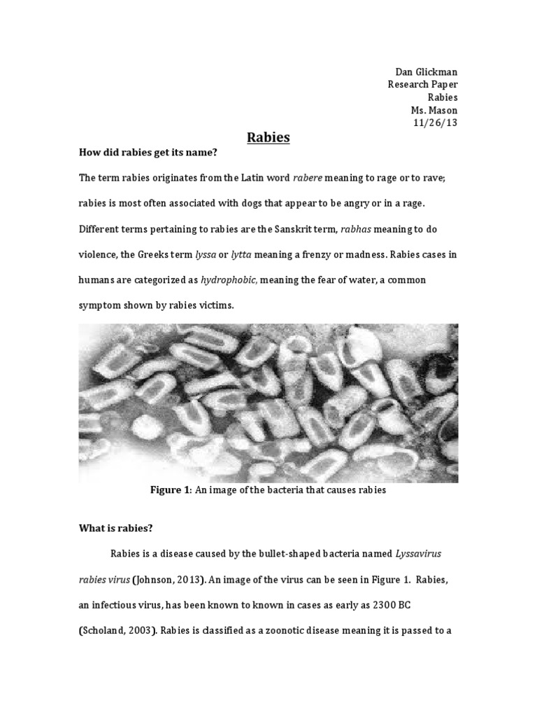 Rabies Research Project | PDF | Rabies | Vaccines