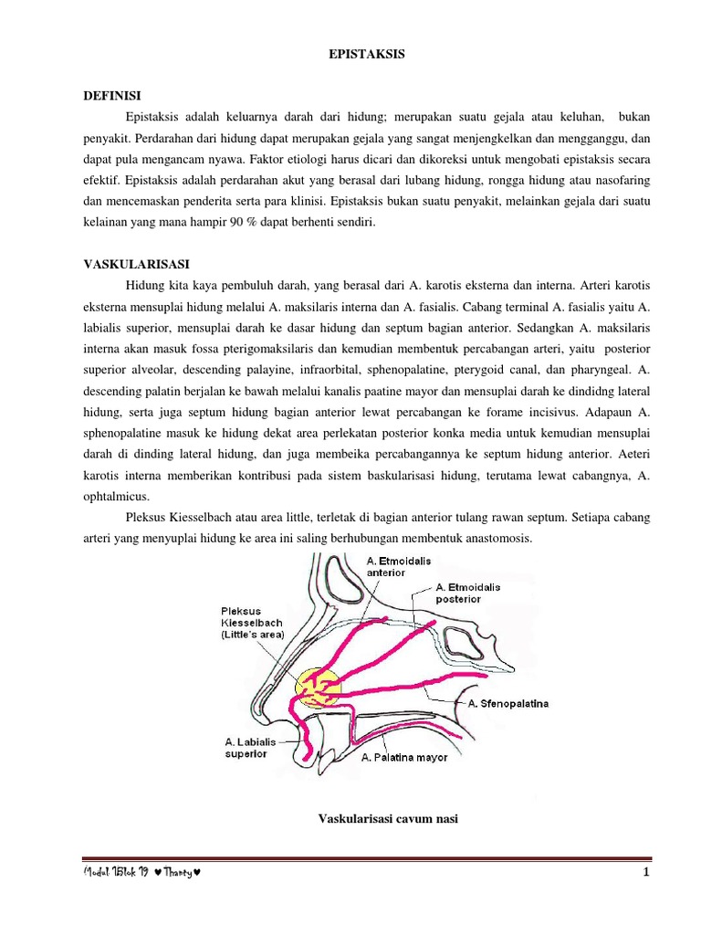 Panduan Lengkap Epistaksis dan Penyebabnya | PDF | Kesehatan Holistik