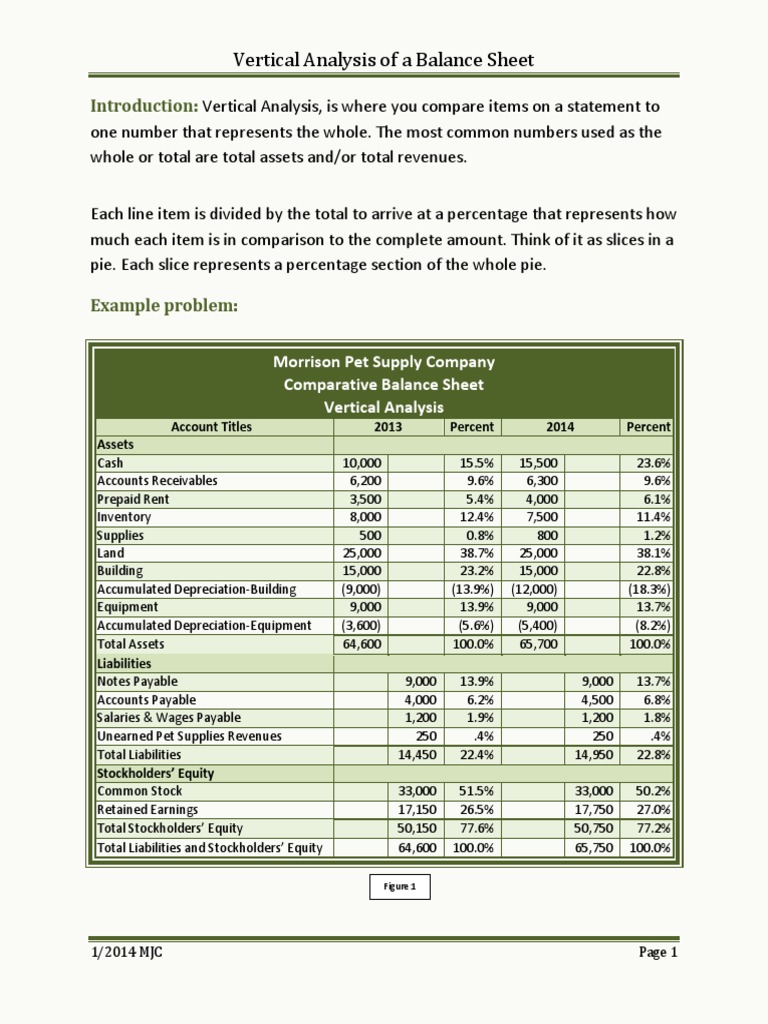 Vertical Analysis of Balance Sheet Guide | PDF | Balance Sheet | Equity ...