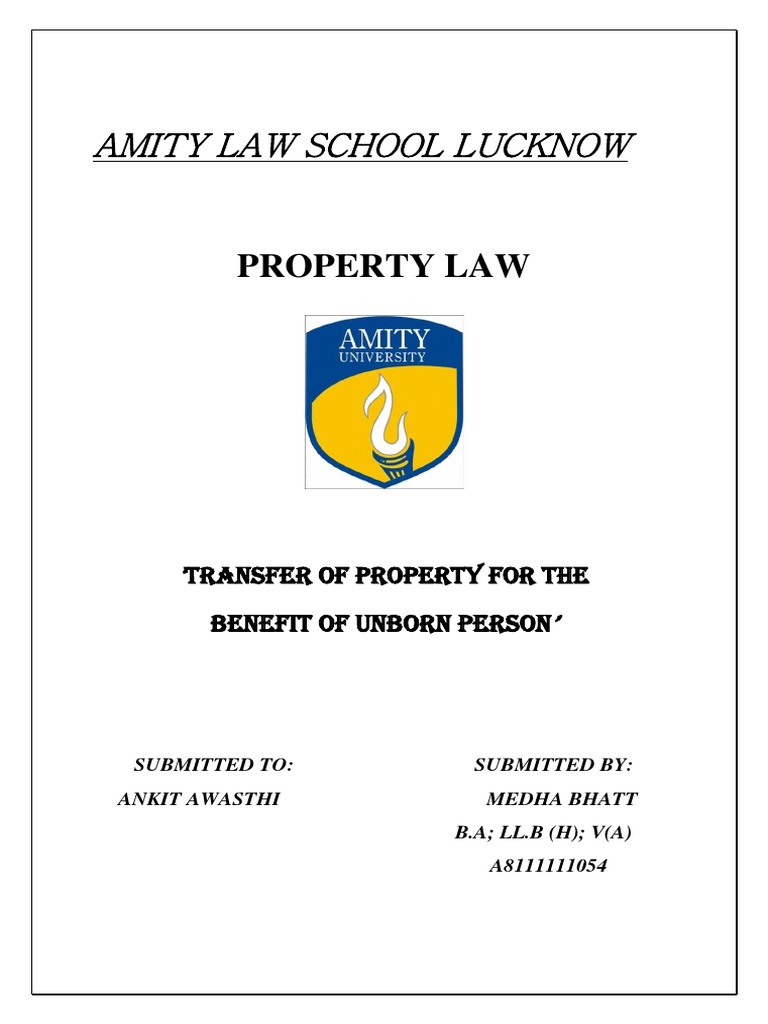 Property Law Assignment | PDF | Property Law | Will And Testament