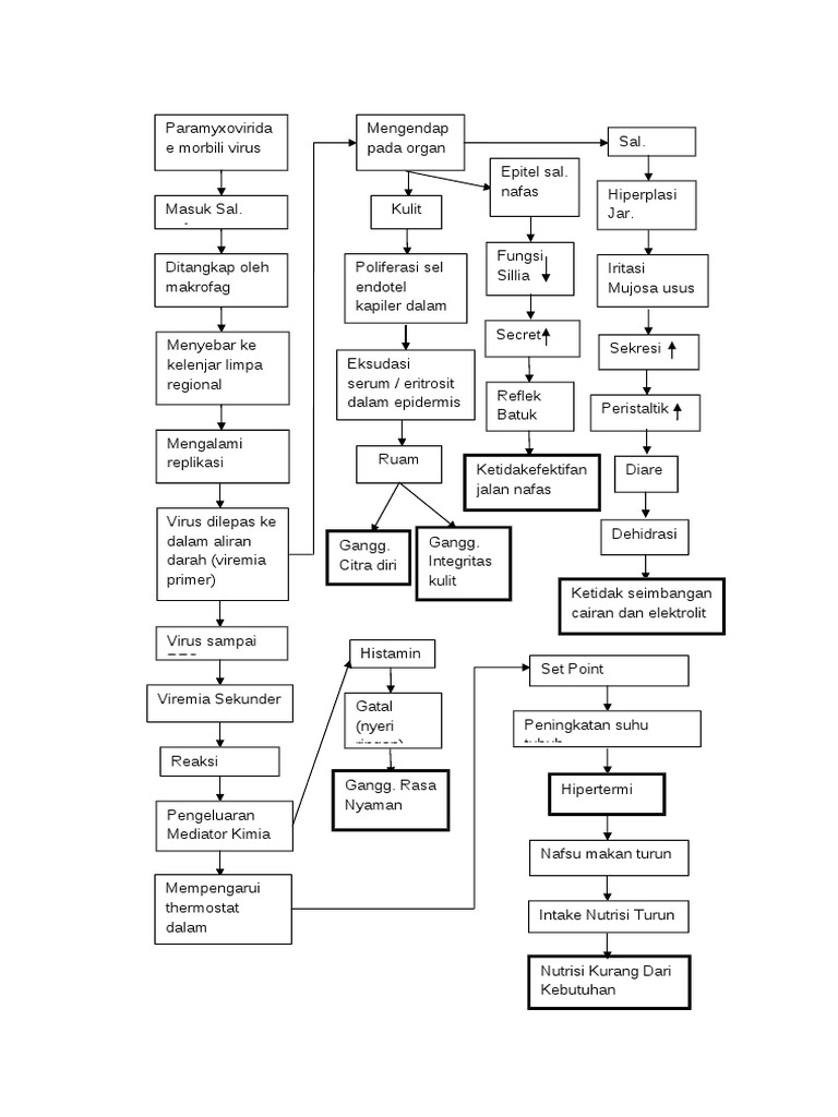 Patofisiologi Morbili | PDF