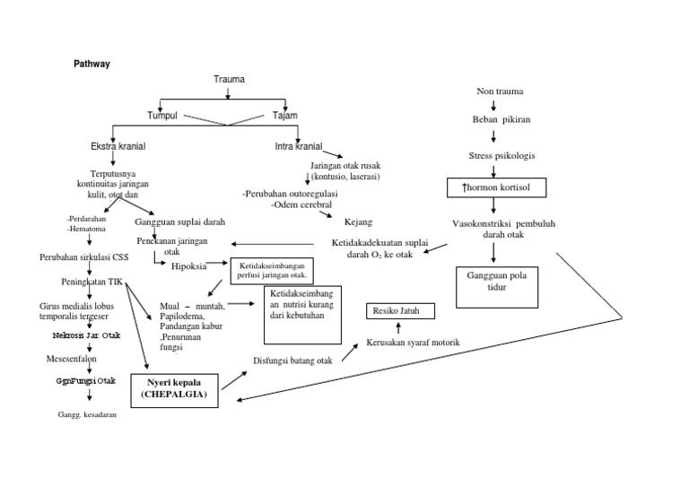 Pathway Chepalgia | PDF