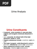 Urology Medical Terminology | PDF | Urinary System | Kidney